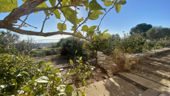 26 ventes de maisons à Fitou (11510), A partir de 71500€