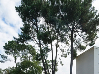 43 annonces de locations d'appartements à Mont-de-Marsan (40), Seloger.com